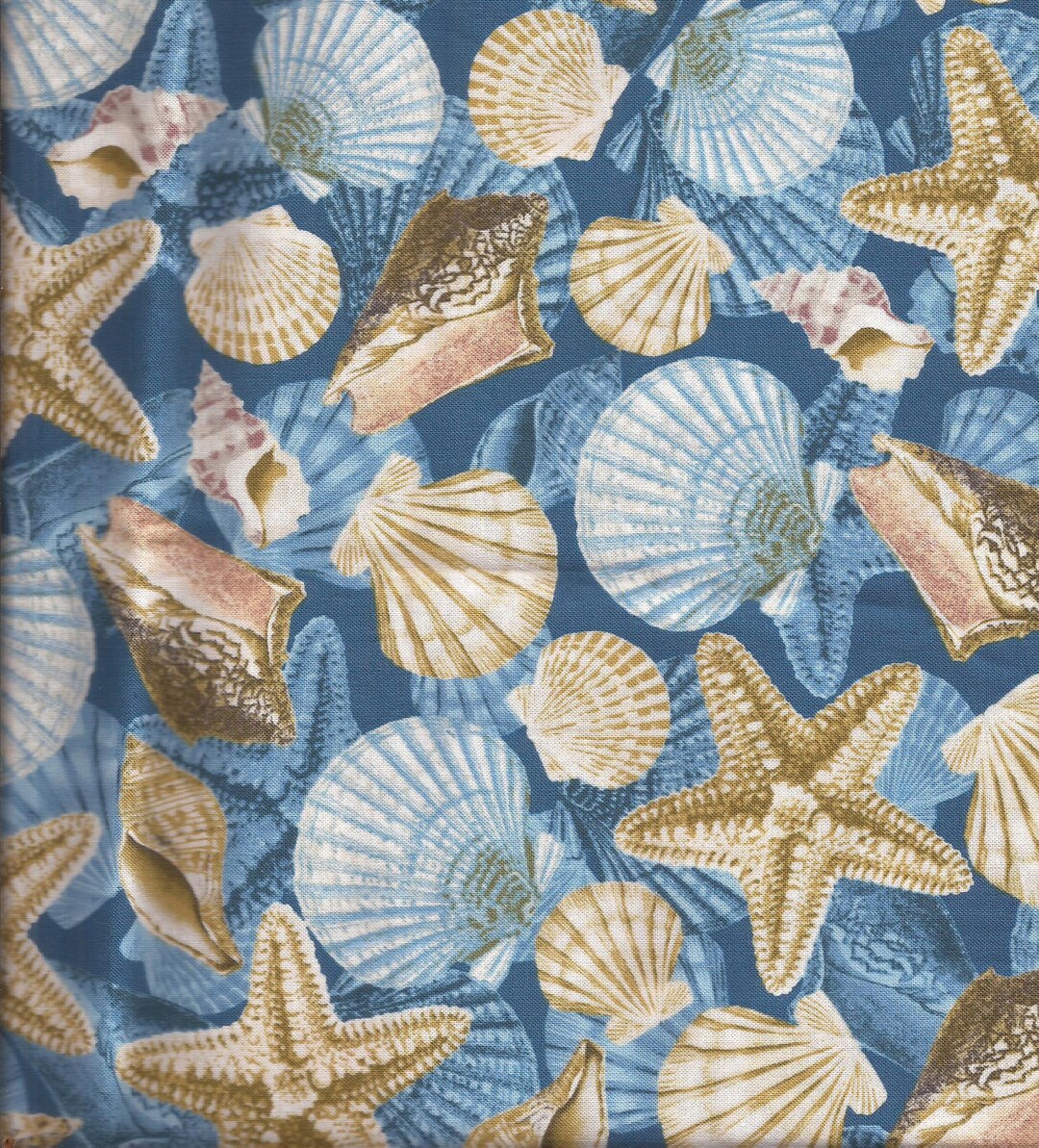 Blue Seashell Beach Print Cotton Fabric / Timeless Treasures / Pre ...