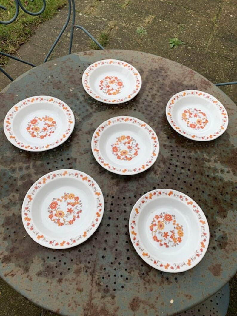6 Opalex Soup Plates, Orange Flowers, Vintage Arcopal 1970 - Etsy