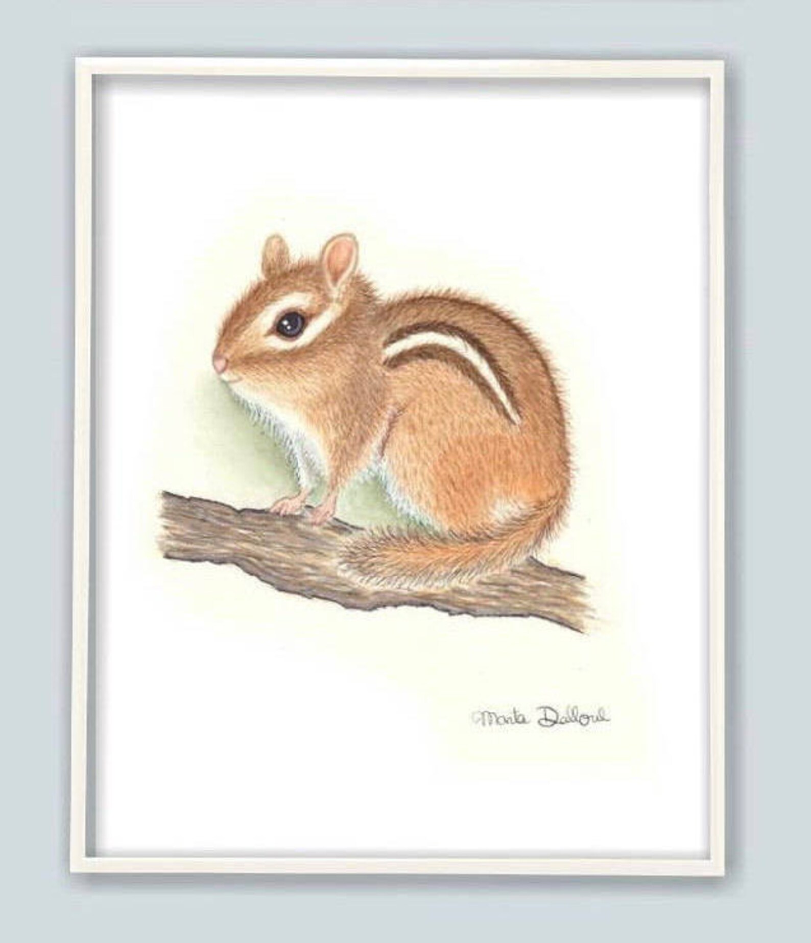 Woodland Nursery Art. Baby Animal Print. Chipmunk Watercolor - Etsy