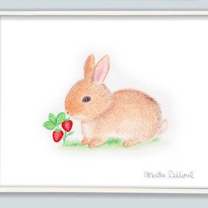 Baby Animal Art Print. Nursery Bunny Wall Art. Kids Room Art. Rabbit ...