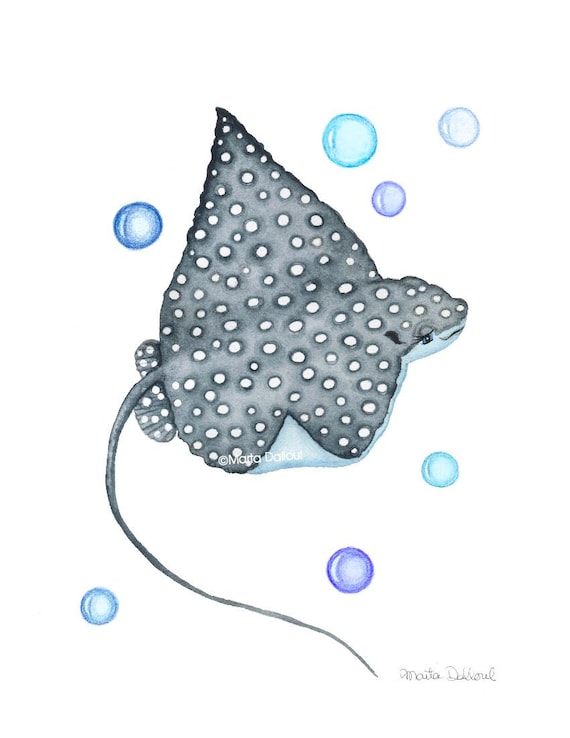 Manta Ray Below Drawings Sail The Seas In This Fancy Manta Shaped