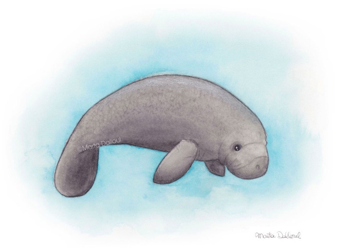 Manatee Art Print, Sea Nursery Art, Manatee Watercolor Painting ...