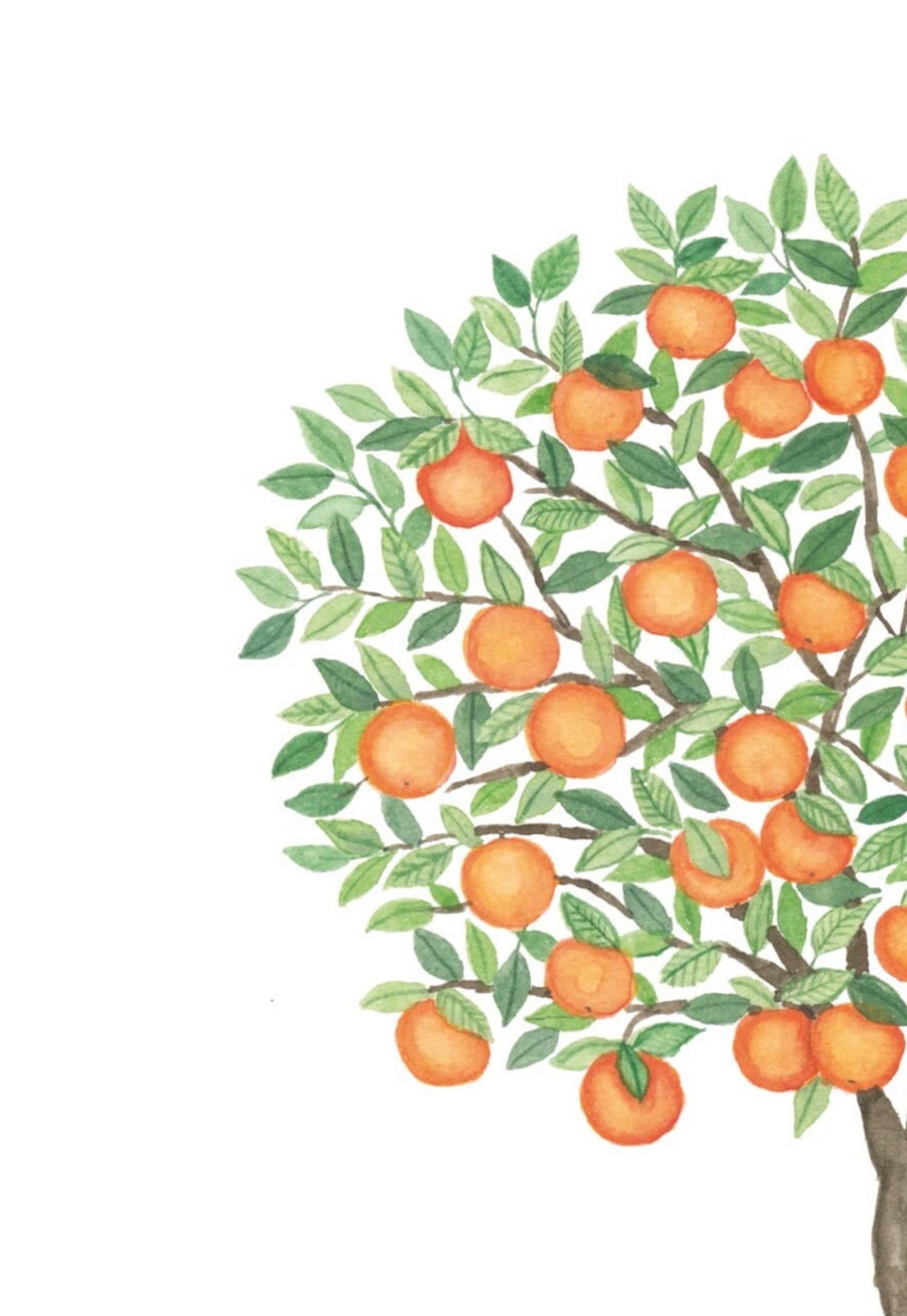 Orange Tree Watercolor Art Print, Rustic Kitchen Decor - Etsy