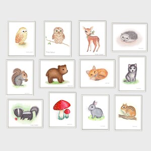 Woodland Nursery Art. Baby Animal Print. Chipmunk Watercolor Art. Kids ...