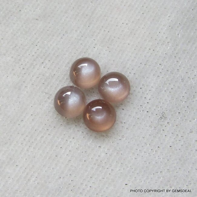 10 Piece 4mm Chocolate Moonstone Cabochon Round Gemstone | Etsy