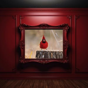 Red Northern Cardinal on Tree Stump Photo Print - Etsy