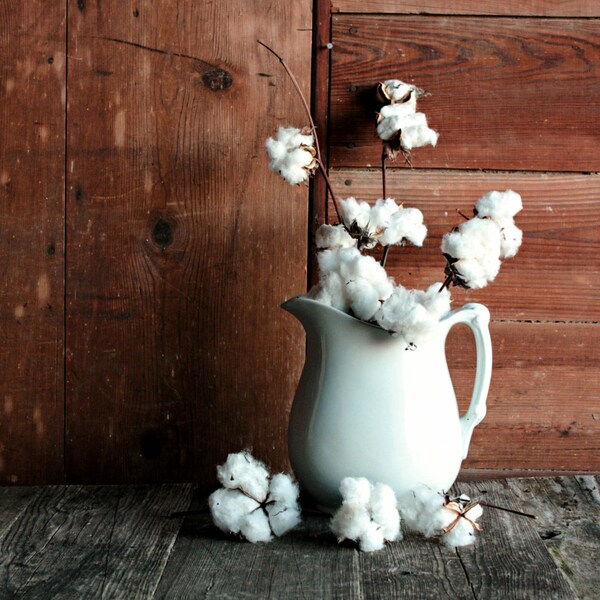 Cotton Bouquets - Etsy