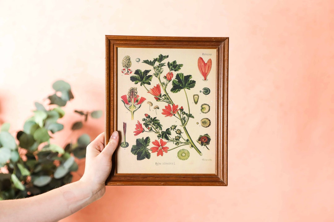 1 Vintage 8 X 10 Wooden Frame, Dark Wood Frames Vertical, Oak Frames ...