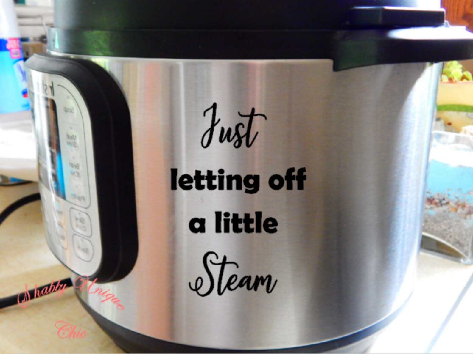 Instant Pot Decal Just Letting off a Little Steam Instant - Etsy