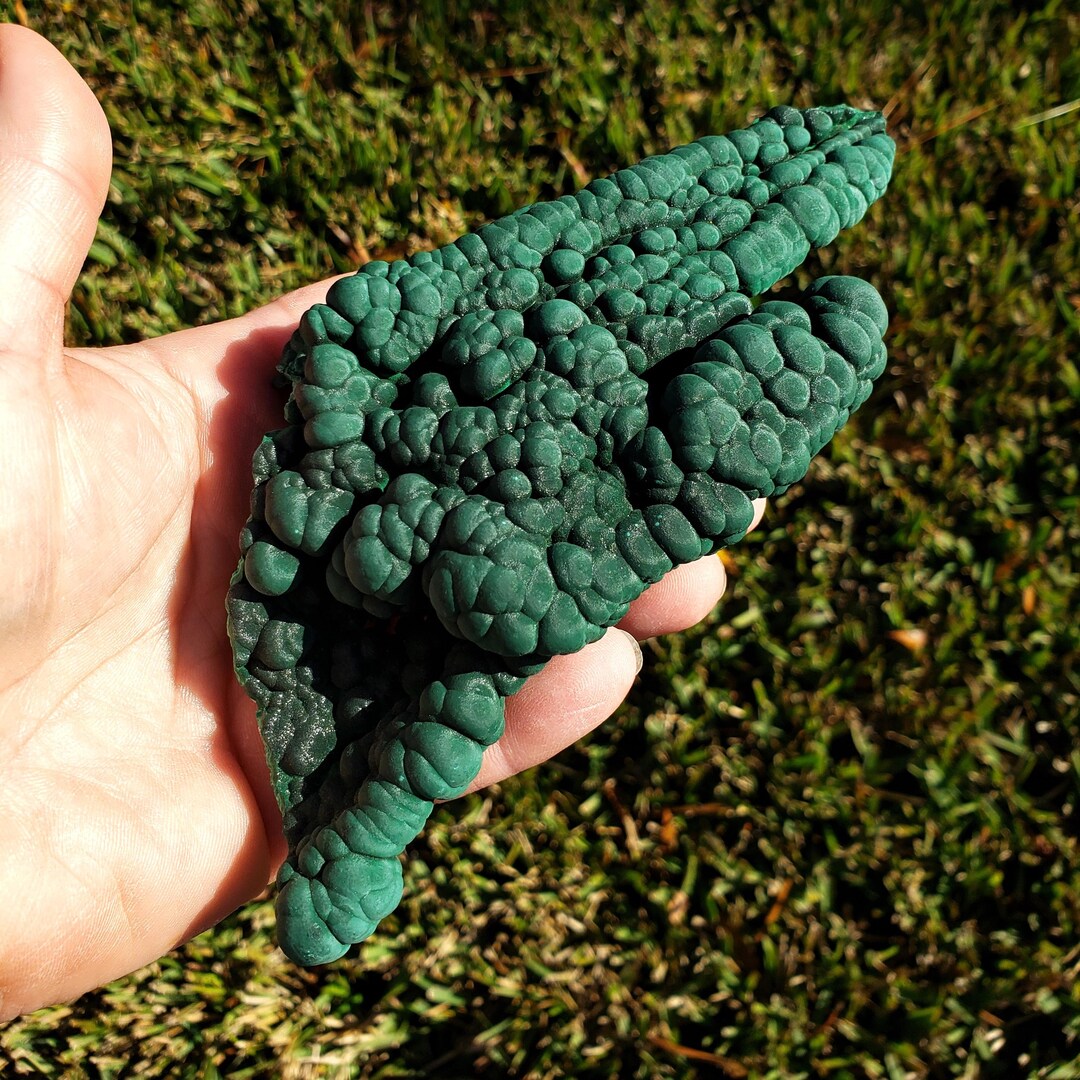 6.7 Inch Botryoidal Dark Green Malachite Folded Formation With Rich ...
