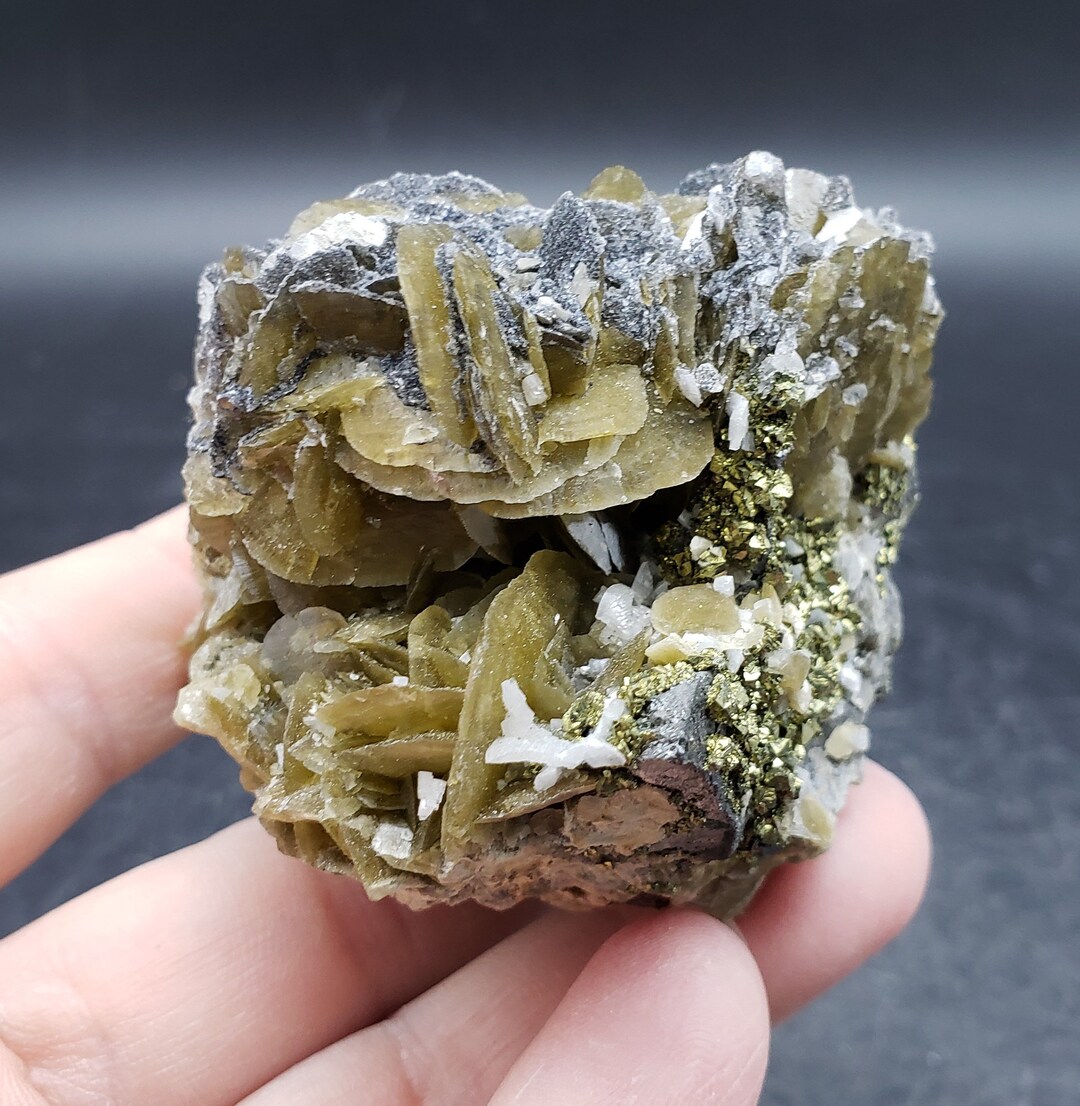 Large Bladed Golden Brown Siderite With Golden Chalcopyrite ...