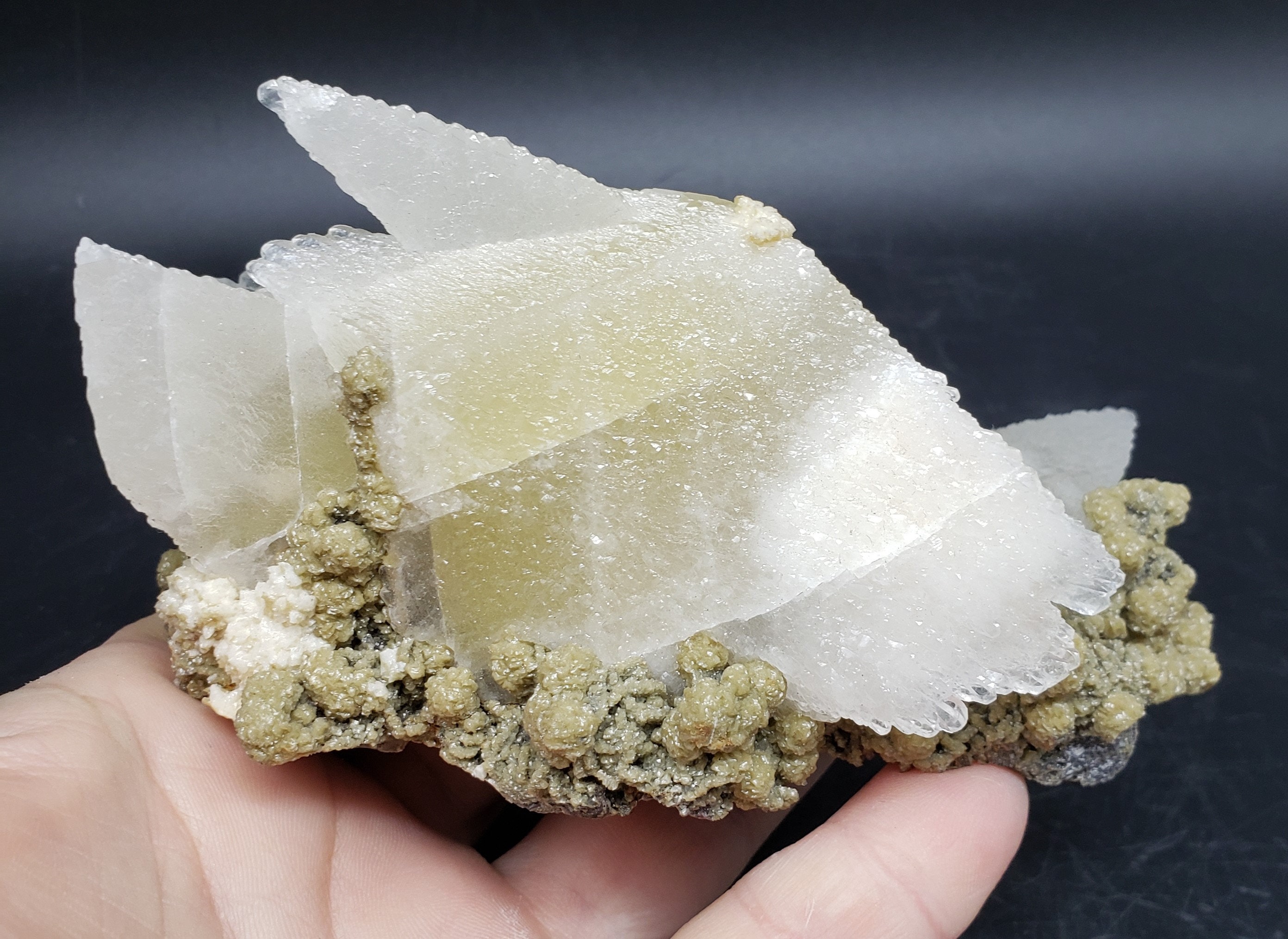 5.1 in Golden and White Scalenohedral Double Terminated Lustrous ...