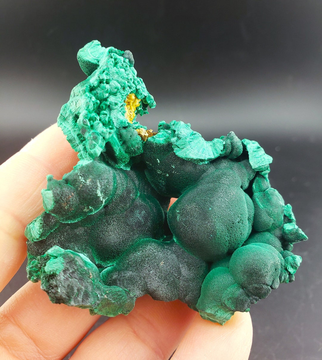 Botryoidal Formation of Rich Velvety Green Malachite Crystal Cluster ...