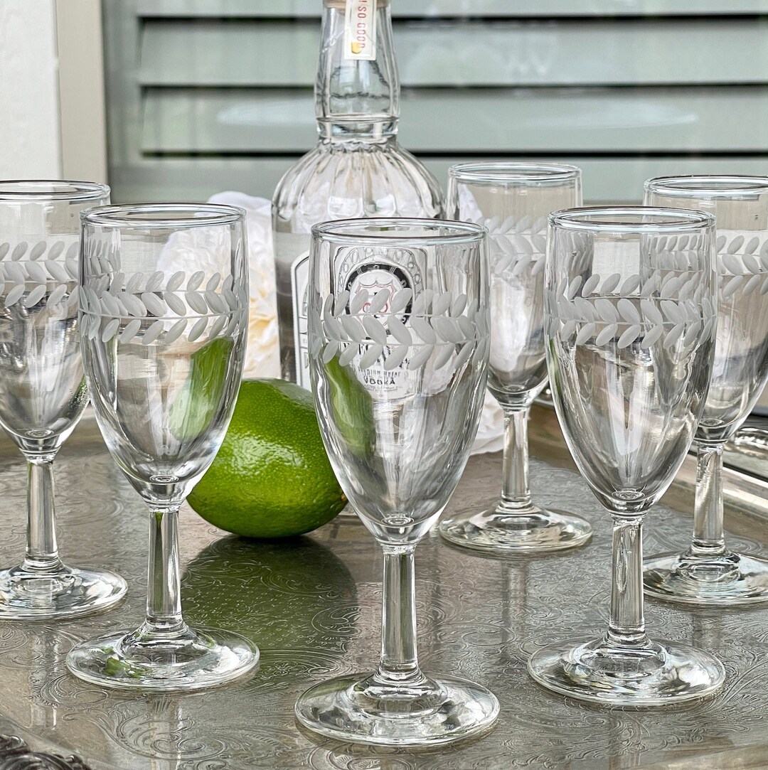 6 Mid Century Nick And Nora Glass Etched Laurel Leaf Banded Whiskey Sour Cocktail Glass 50s
