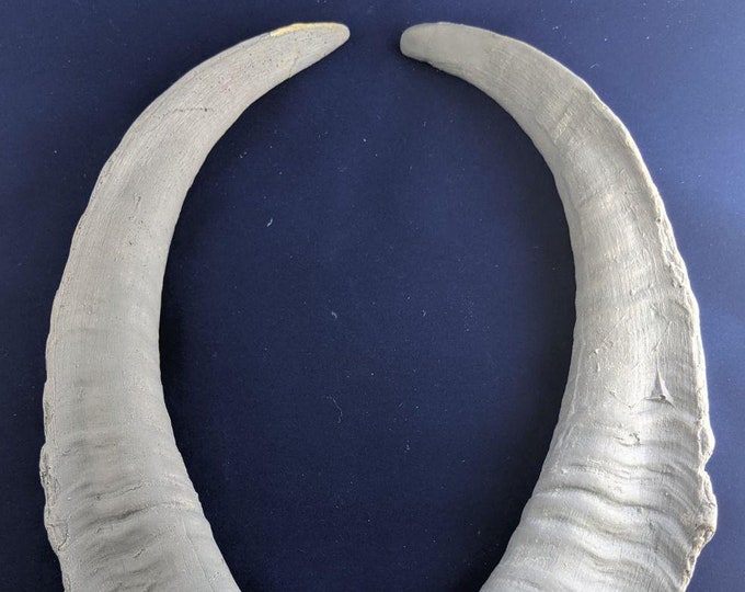 Alien Demon Horns - Etsy