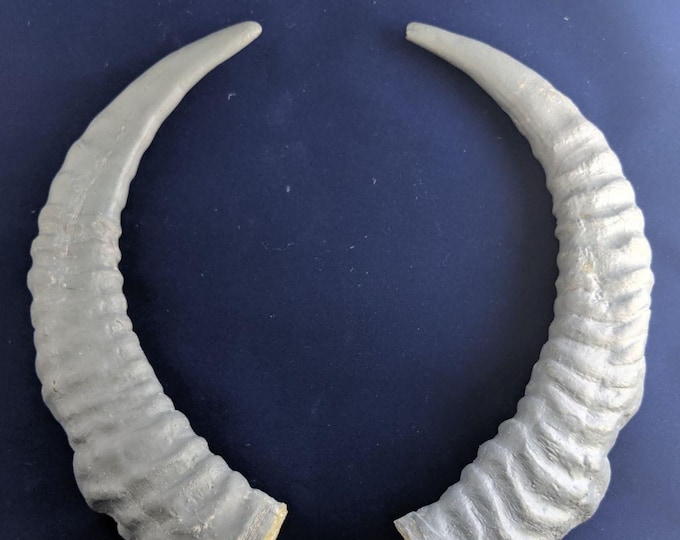 Alien Demon Horns - Etsy