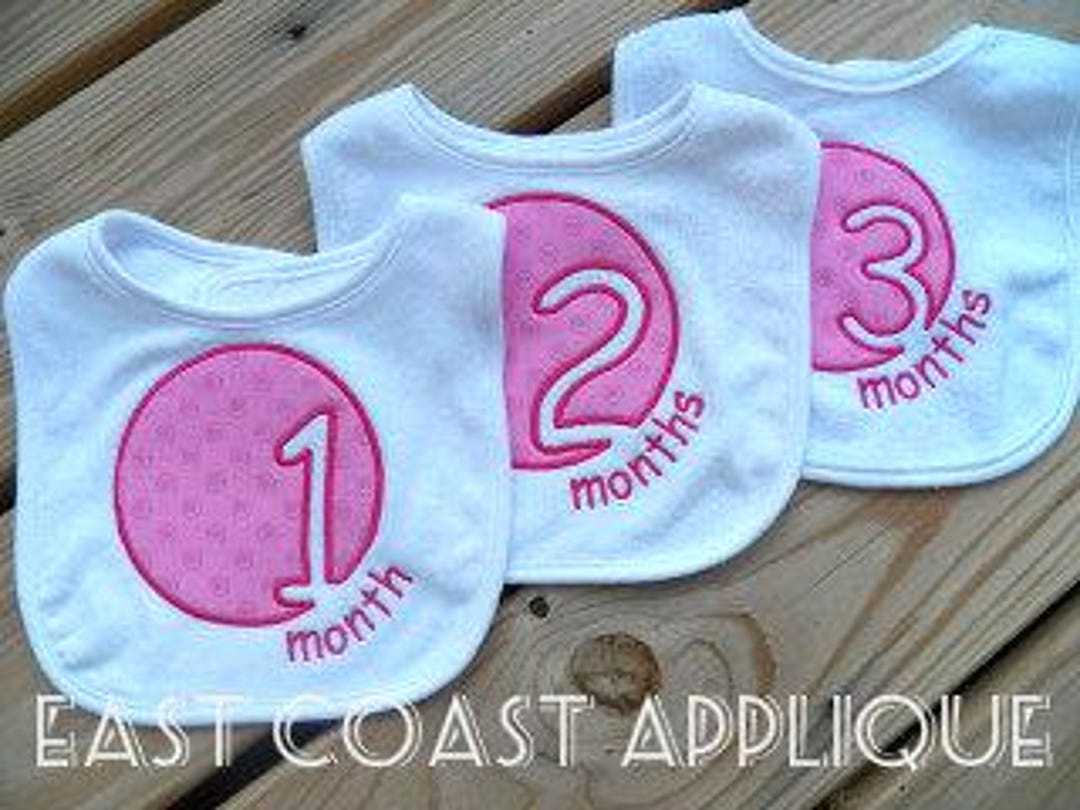 Baby Months Applique Design, Machine Embroidery, Embroidery Design, Applique Embroidery, Month ...