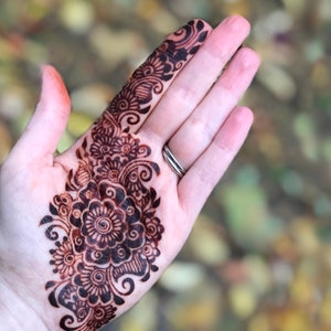 Complete Henna Kit for Beginners & Professionals - Etsy Canada