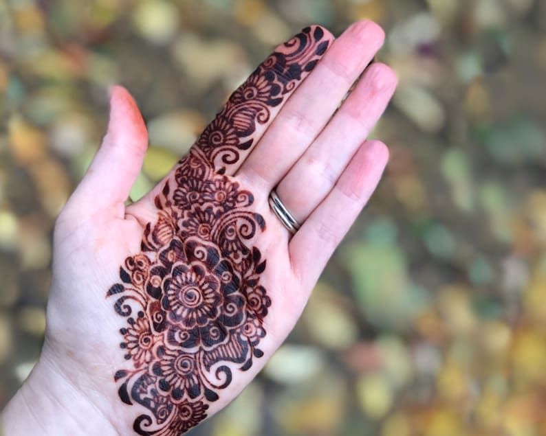 Complete Henna Kit for Beginners & Professionals - Etsy Canada