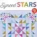 Synced Stars PDF Quilt Pattern - Etsy