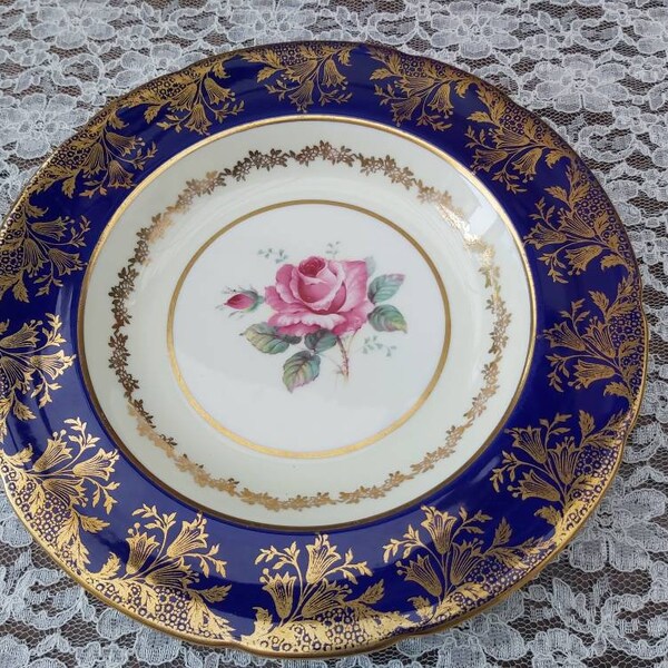 Cobalt Pink Rose - Etsy