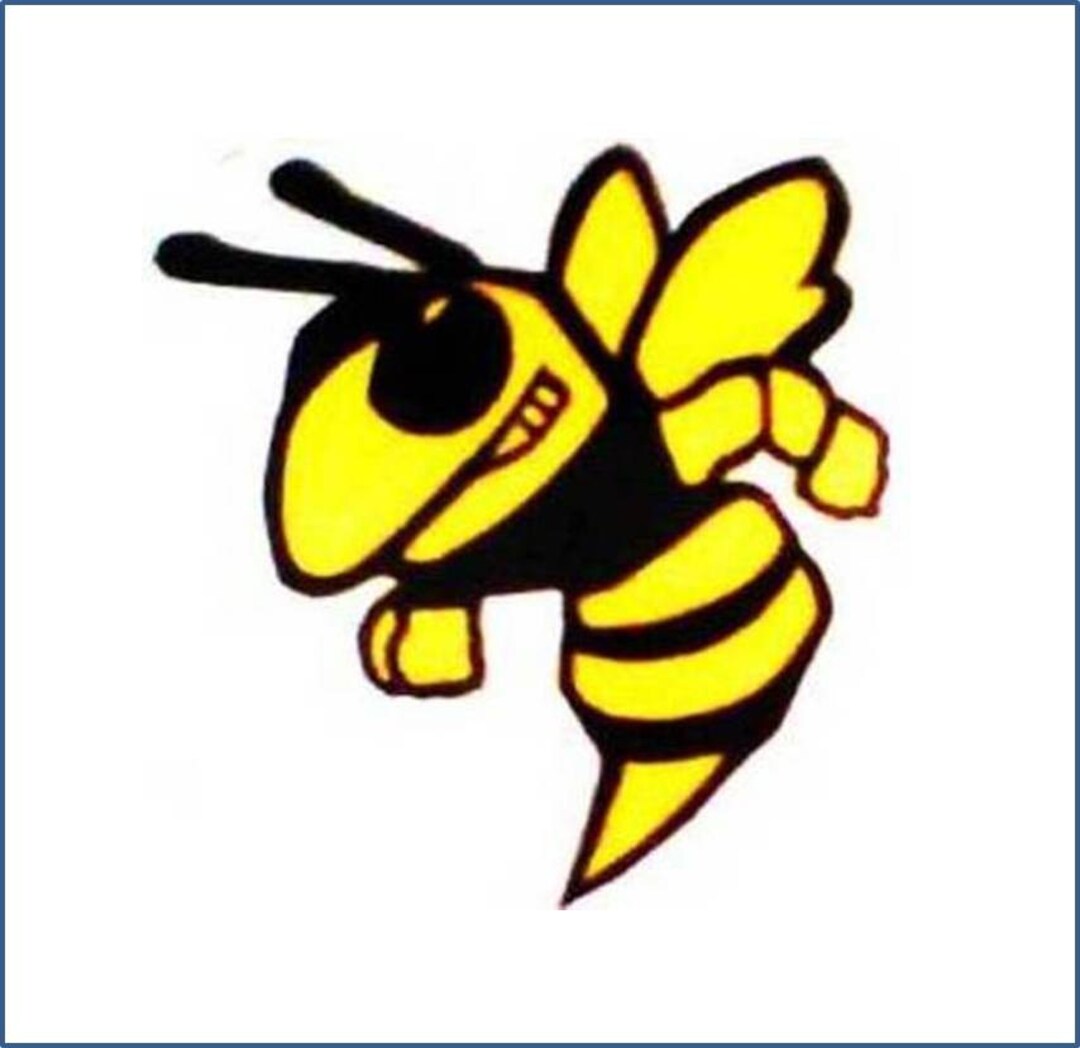 Two-color Yellowjacket Decal - Etsy