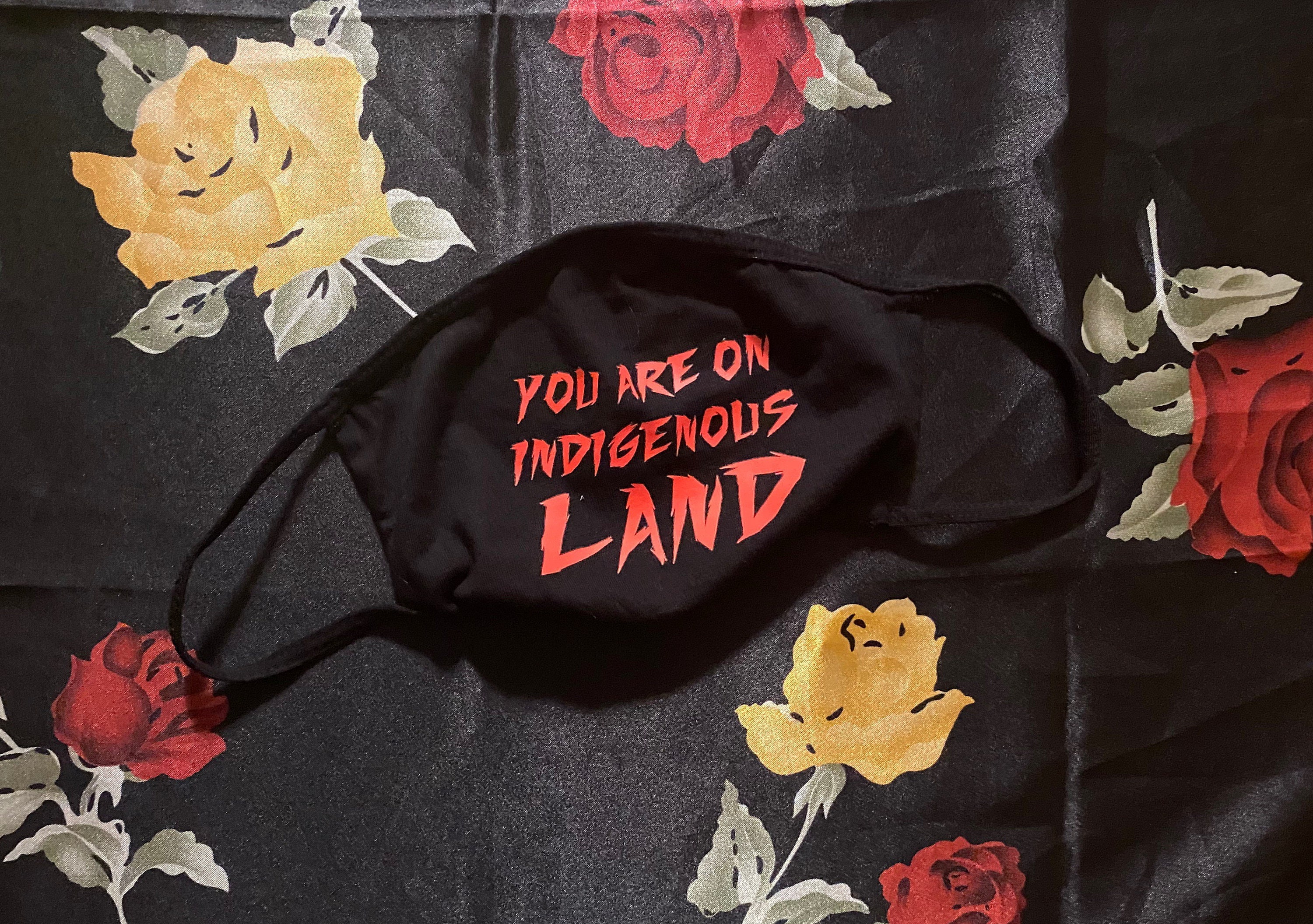 You Are on Indigenous Land Mask | Etsy