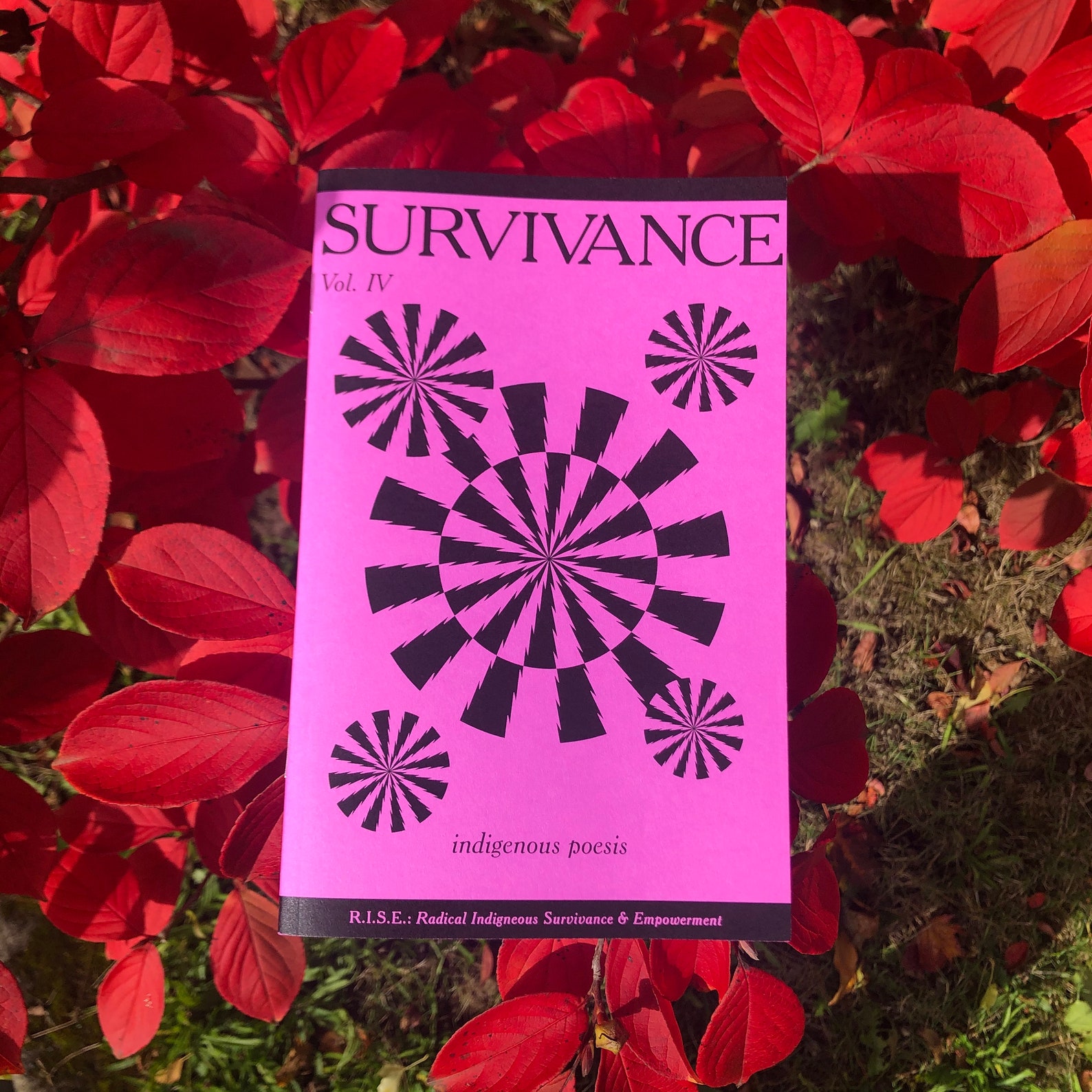 Survivance: Indigenous Poesis Vol. IV Zine - Etsy