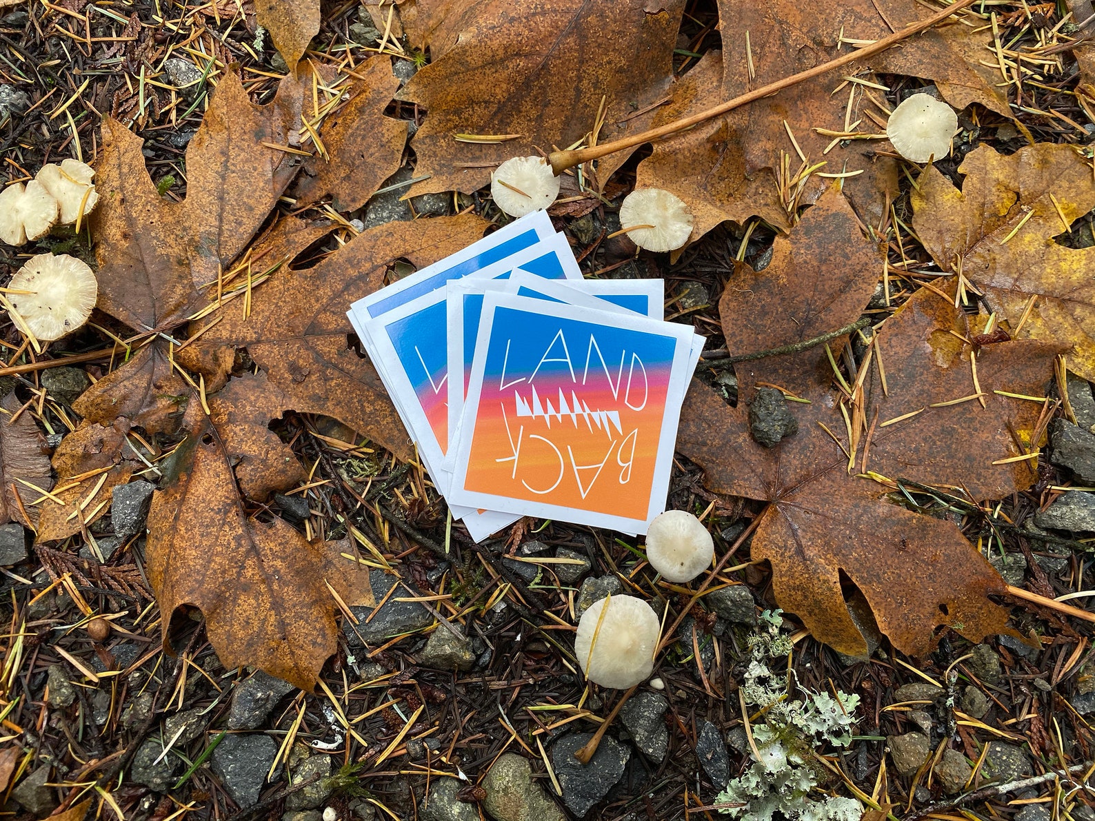 LAND BACK 2.5 Sticker - Etsy