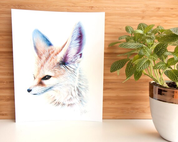 Fennec Fox PRINT 8x10 Animal Art Print Wildlife Fox | Etsy