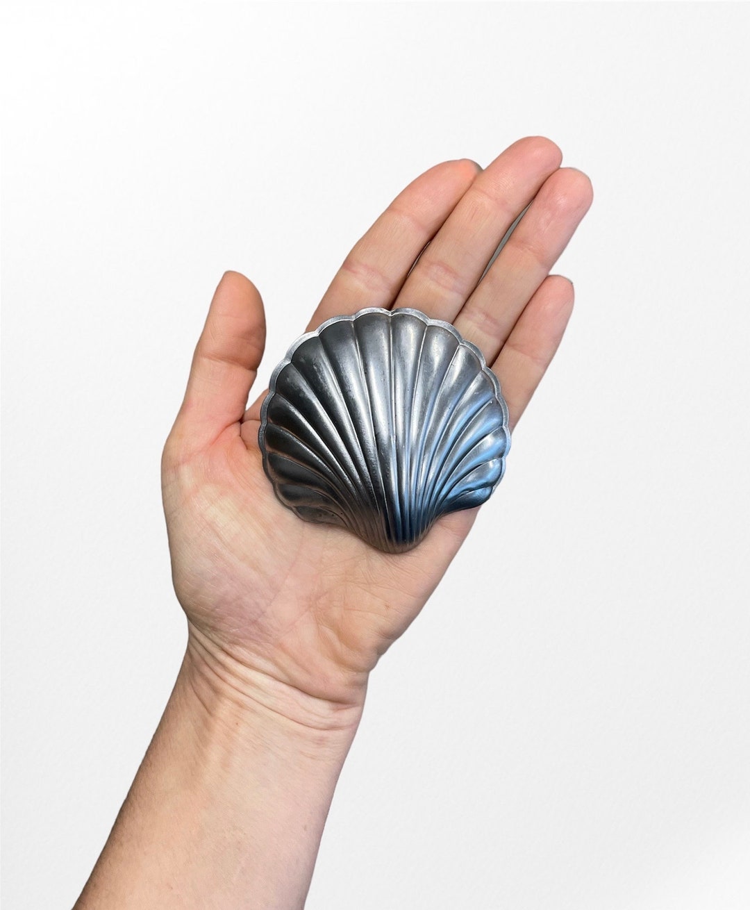 Metal Sea Shell - Etsy