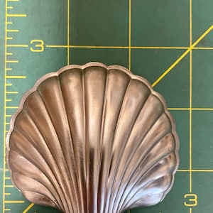 Metal Sea Shell - Etsy