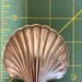 Metal Sea Shell - Etsy
