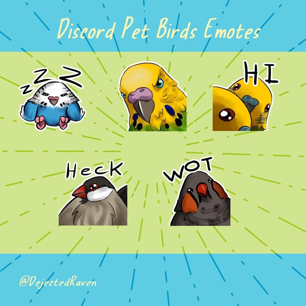 Discord Pet Birds Emotes Pack 1 - Etsy