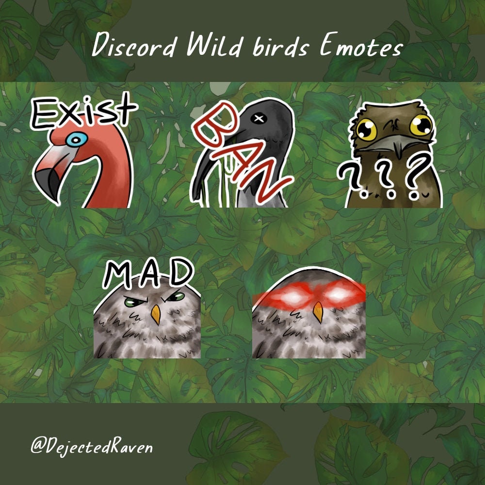Discord Wild Bird Emote Pack - Etsy