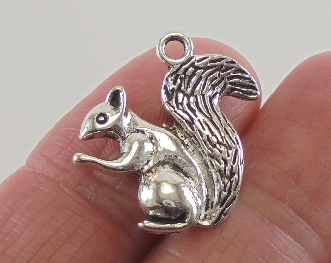 6 Squirrel Charms, 21x21mm, Antique Silver Finish - Etsy