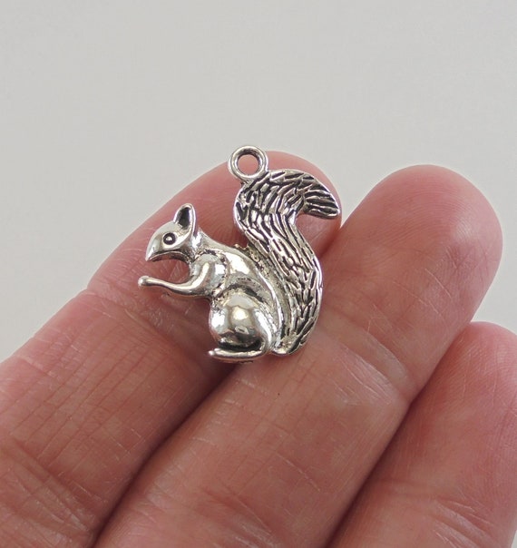 6 Squirrel Charms 21x21mm Antique Silver Finish | Etsy