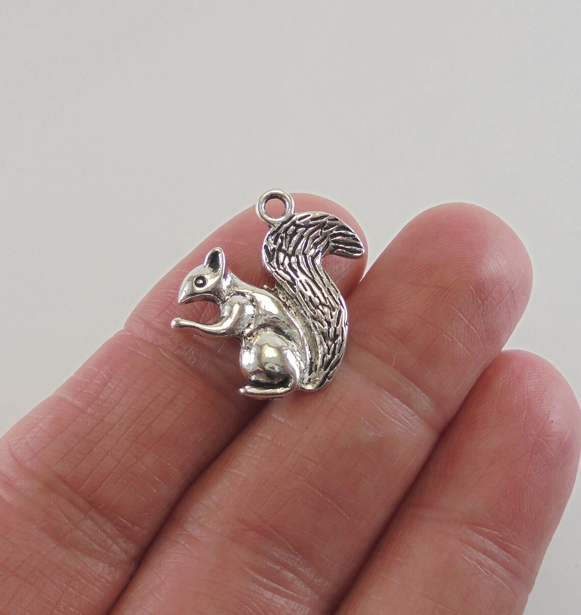 6 Squirrel Charms 21x21mm Antique Silver Finish - Etsy