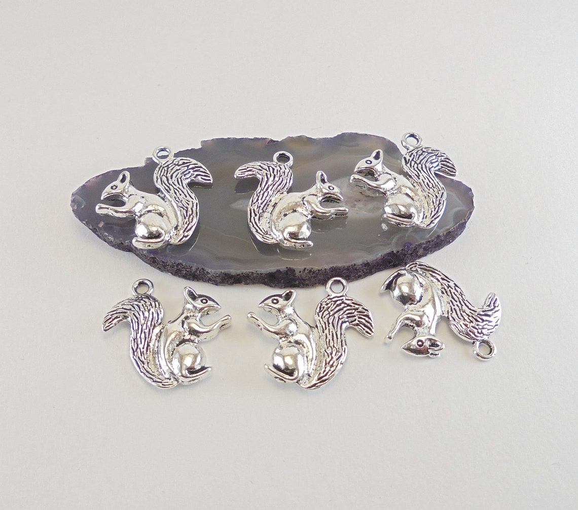 6 Squirrel Charms 21x21mm Antique Silver Finish - Etsy