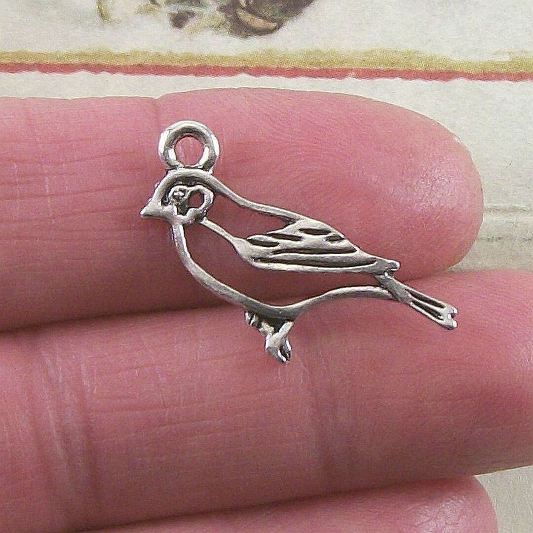 8 Bird or Robin Charms 27x12mm Antique Silver Finish - Etsy