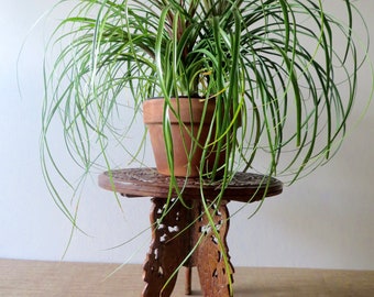 Folding plant stand | Etsy