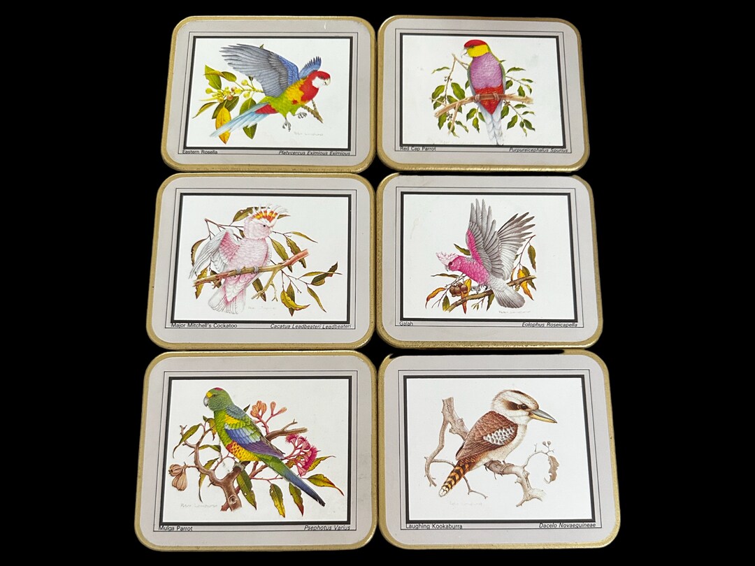 Vintage Jayson Art Coasters Australian Birds - Etsy
