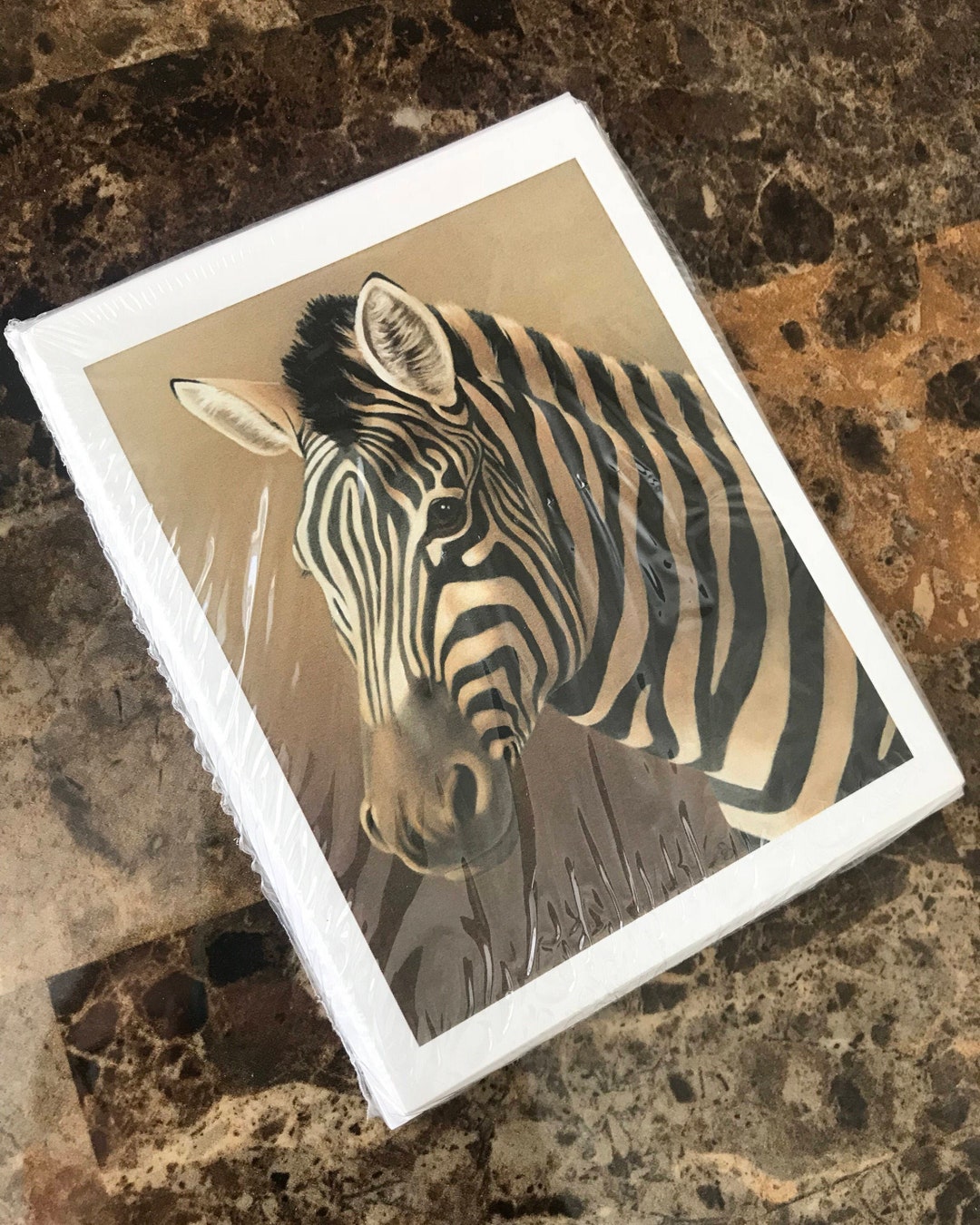 Zebra Greeting Cards / Blank- Inside Notecards / Set of 5 Notecards ...