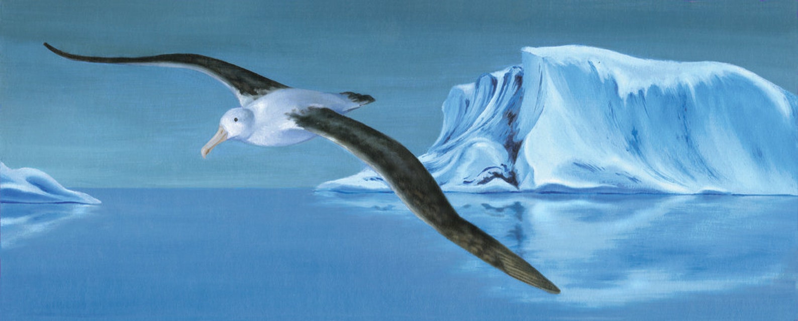 Albatross Oil Painting / the Ancient Mariner - Etsy