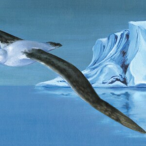 Albatross Oil Painting / the Ancient Mariner - Etsy