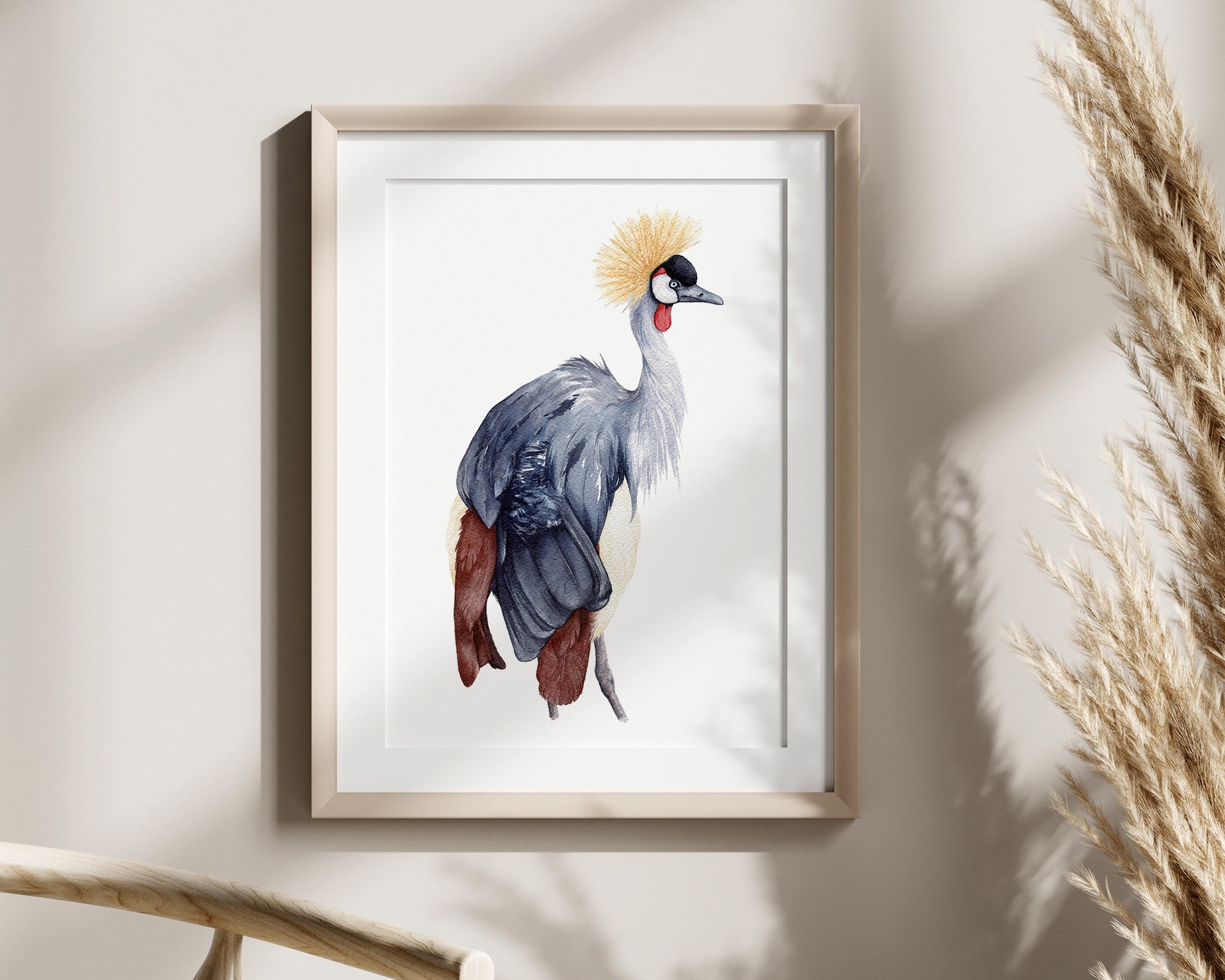 African Crowned Crane Drawing