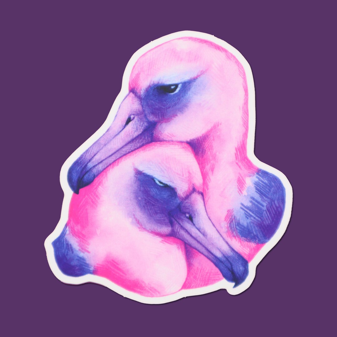 Al-bi-tross Sticker| Albatross, Birds, Watercolor Birds, Bi Pride ...