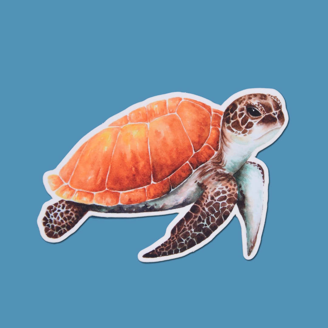 Sea Turtle Sticker | Turtle Sticker, Turtle Watercolor, Turtle, Sea ...