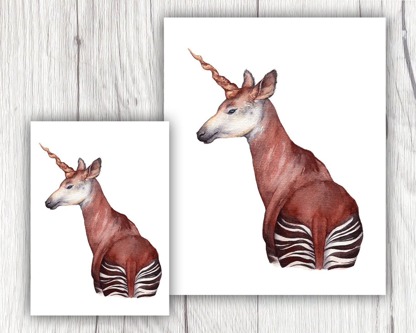 Okapicorn Okapi Watercolor Okapi Okapi Unicorn Mythical - Etsy