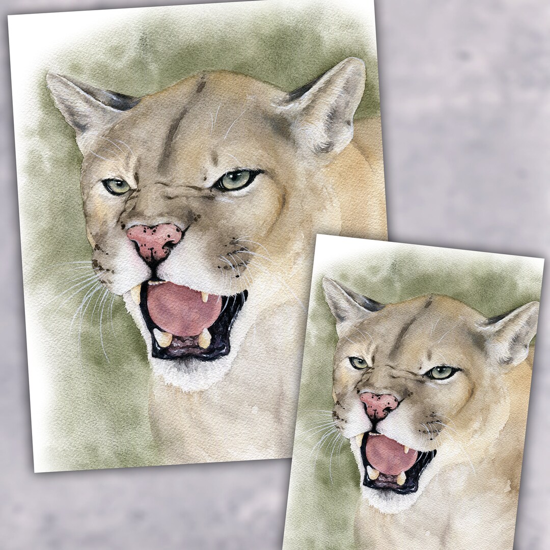 Noni | Mountain Lion, Puma, Watercolor Puma, Cougar, Puma Painting ...